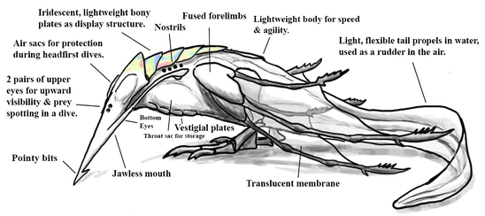 Luminocollaris Lanceae | Wallace II Ben G Thomas Wiki | Fandom