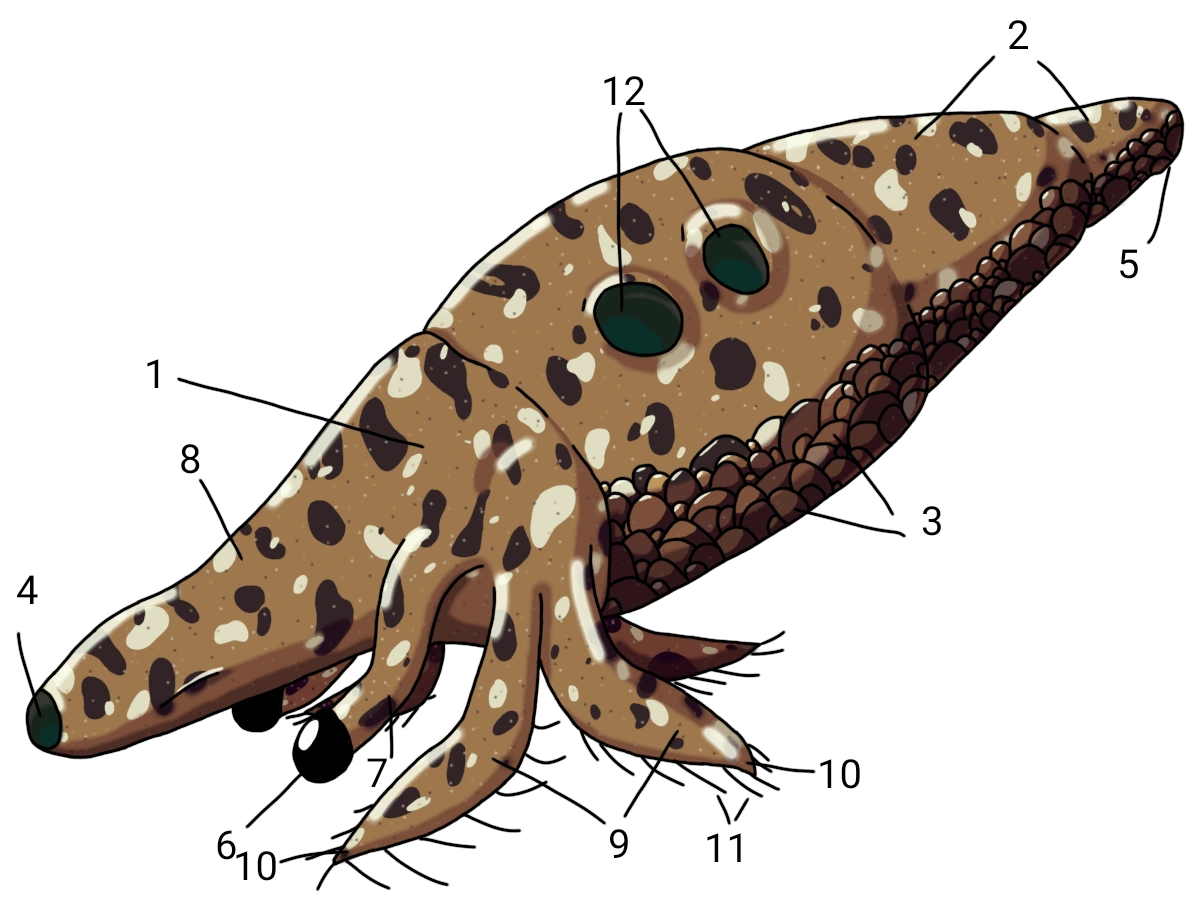 Porligo | Wallace II Ben G Thomas Wiki | Fandom