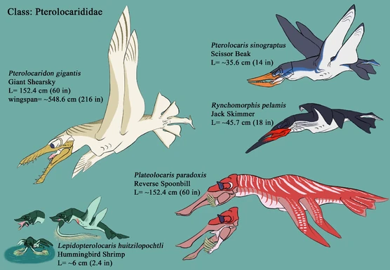 Scissor Beak | Wallace II Ben G Thomas Wiki | Fandom