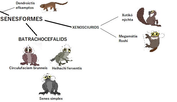 Senesformes | Wallace II Ben G Thomas Wiki | Fandom
