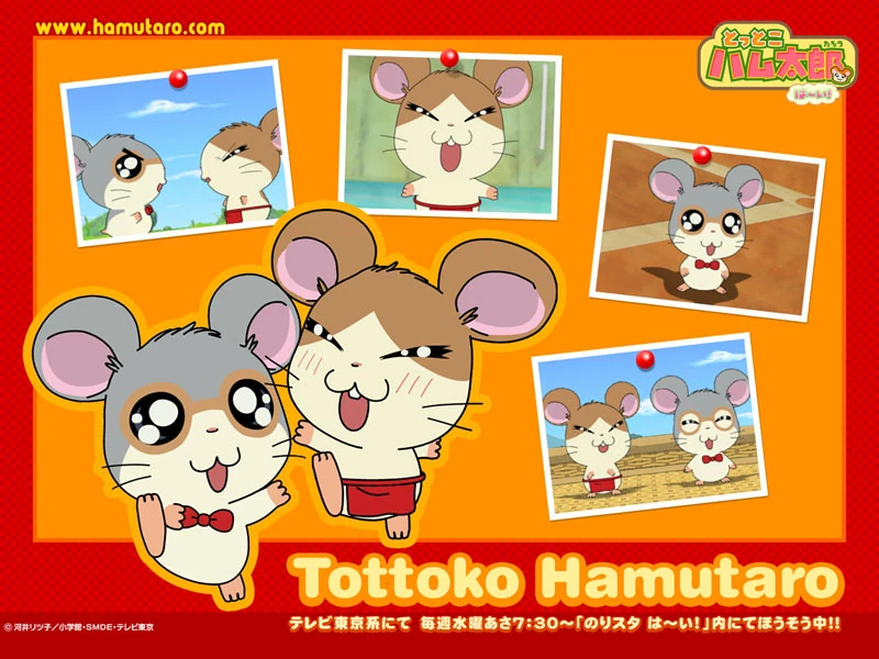Category:Tottoko Hamutaro wallpapers | Wallpapers Wiki | Fandom