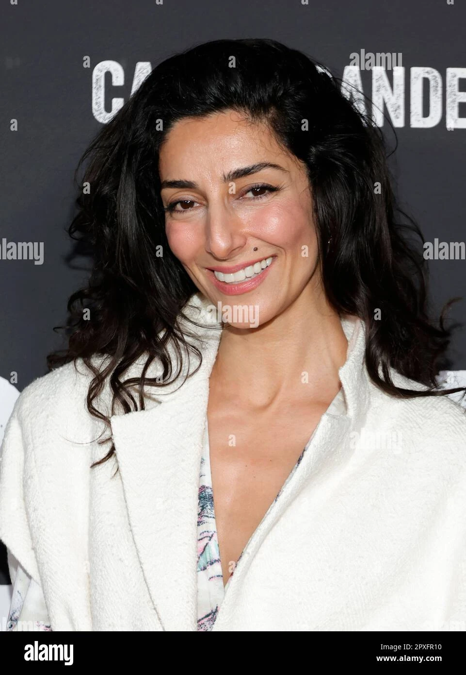 Necar Zadegan | Walt Disney Animation Studios Wikia | Fandom