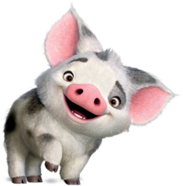 Pua | Walt Disney Animation Studios Wikia | Fandom
