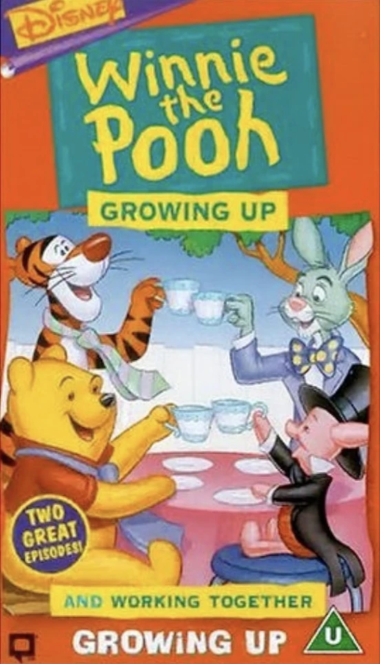 Winnie The Pooh Working Together Vhs