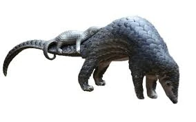 Polly and percy | Walt joshny Wiki | Fandom