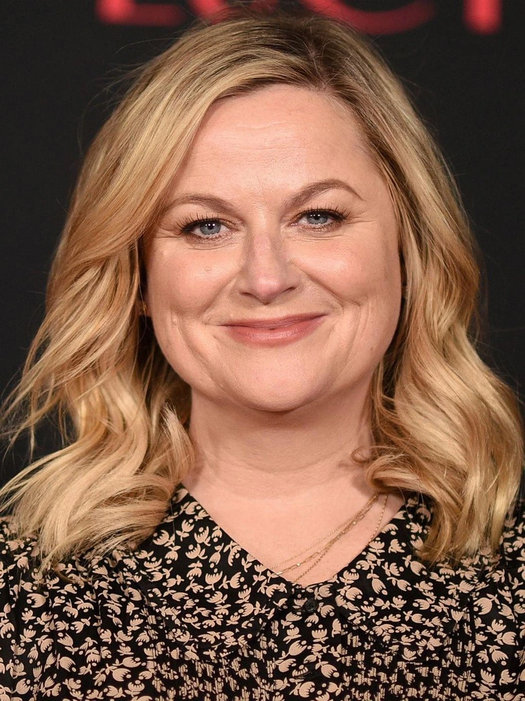 Amy Poehler | Walt Disney Animation Studios Wikia | Fandom