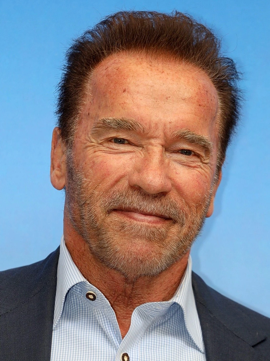Arnold Schwarzenegger | Walt Disney Animation Studios Wikia | Fandom