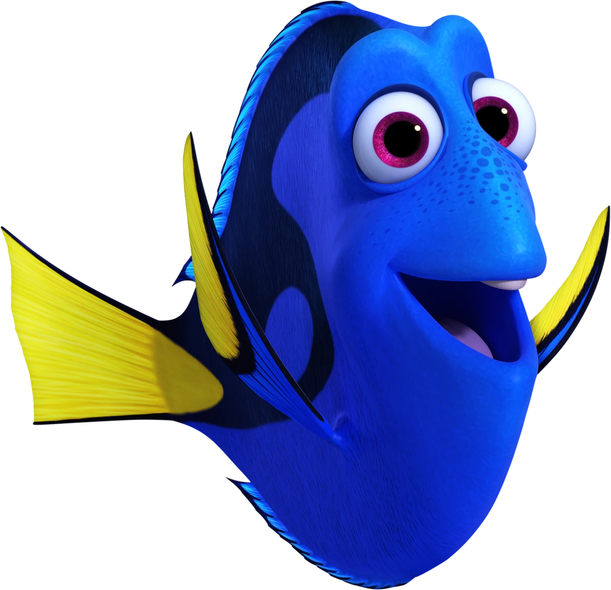 Dory | Walt Disney Animation Studios Wikia | Fandom