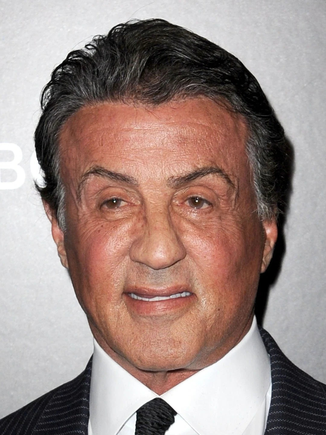 Sylvester Stallone | Walt Disney Animation Studios Wikia | Fandom