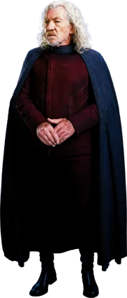 Magneto | Walt Disney Animation Studios Wikia | Fandom