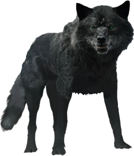 Fenris Wolf | Walt Disney Animation Studios Wikia | Fandom
