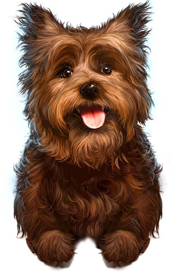 Toto | Walt Disney Animation Studios Wikia | Fandom