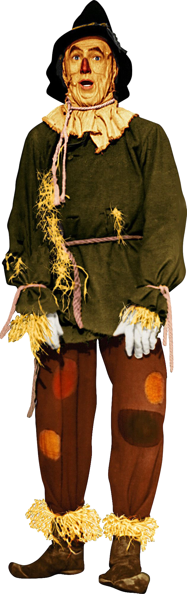 The Scarecrow | Walt Disney Animation Studios Wikia | Fandom