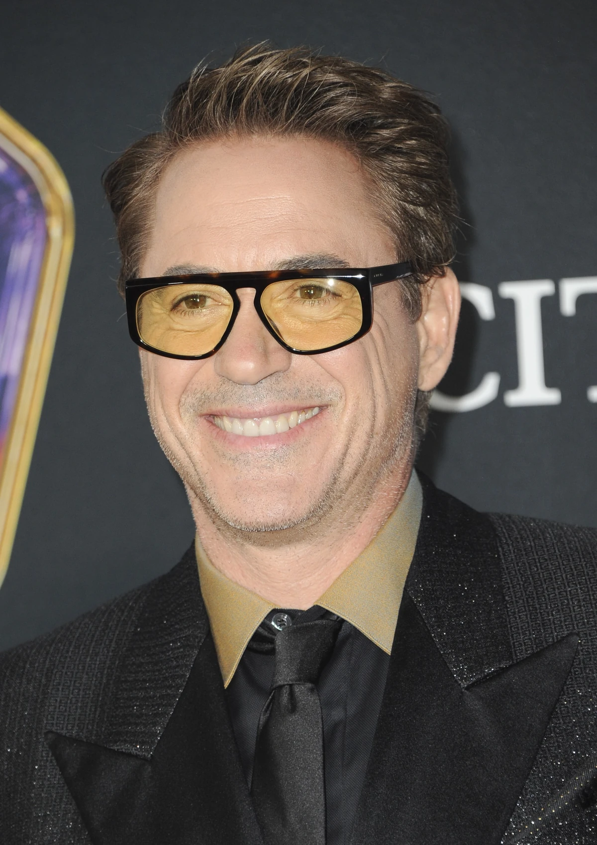 Robert Downey Jr. | Walt Disney Animation Studios Wikia | Fandom