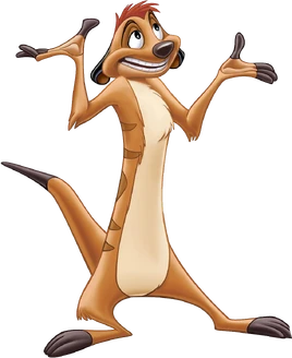 Timon | Walt Disney Animation Studios Wikia | Fandom
