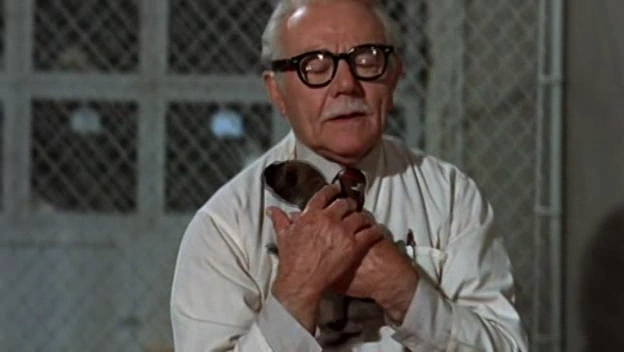 Brutus/Gallery | The Walt Disney Wiki | Fandom