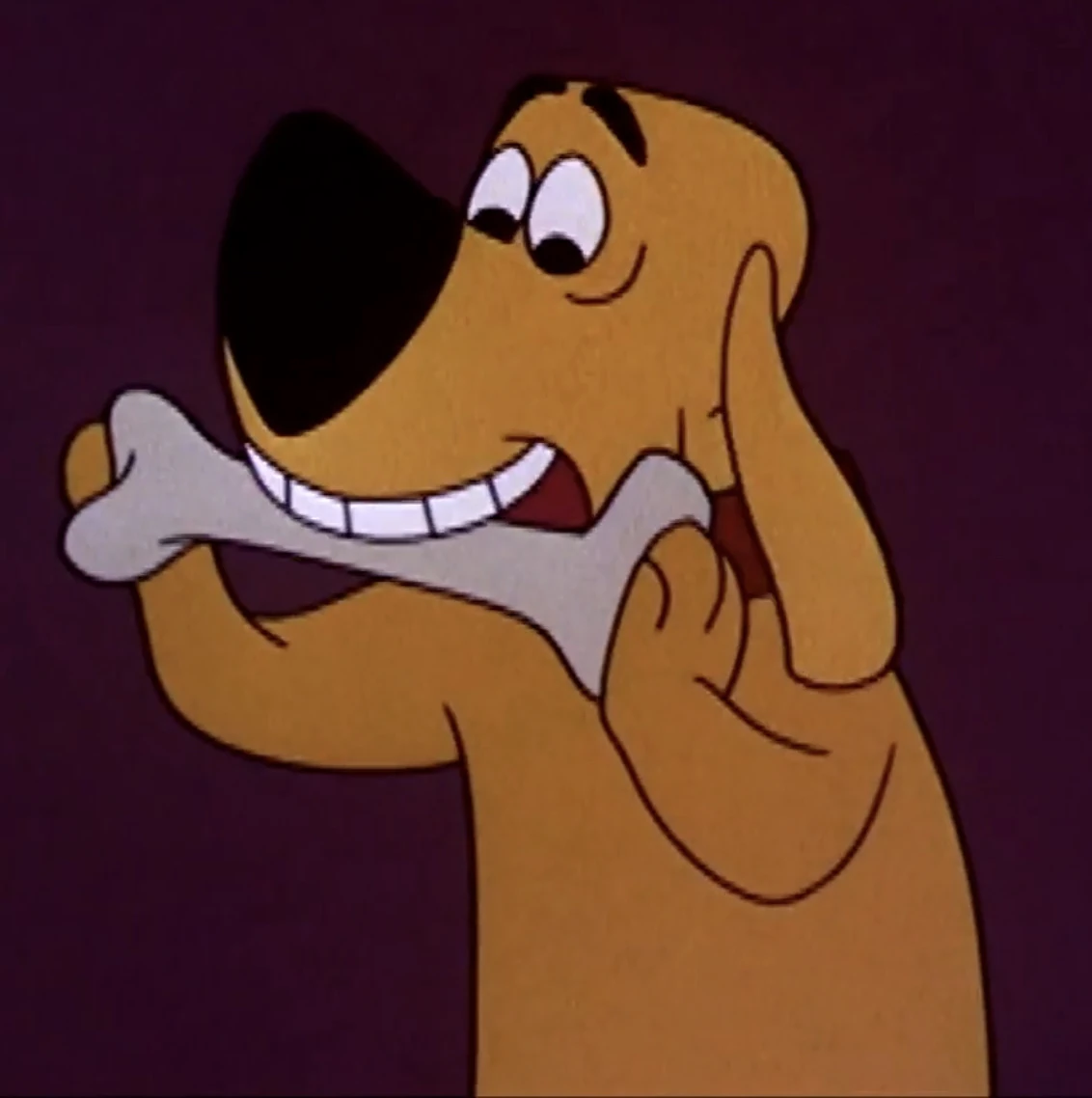 Duffy Dog | Walter Lantz Wiki | Fandom
