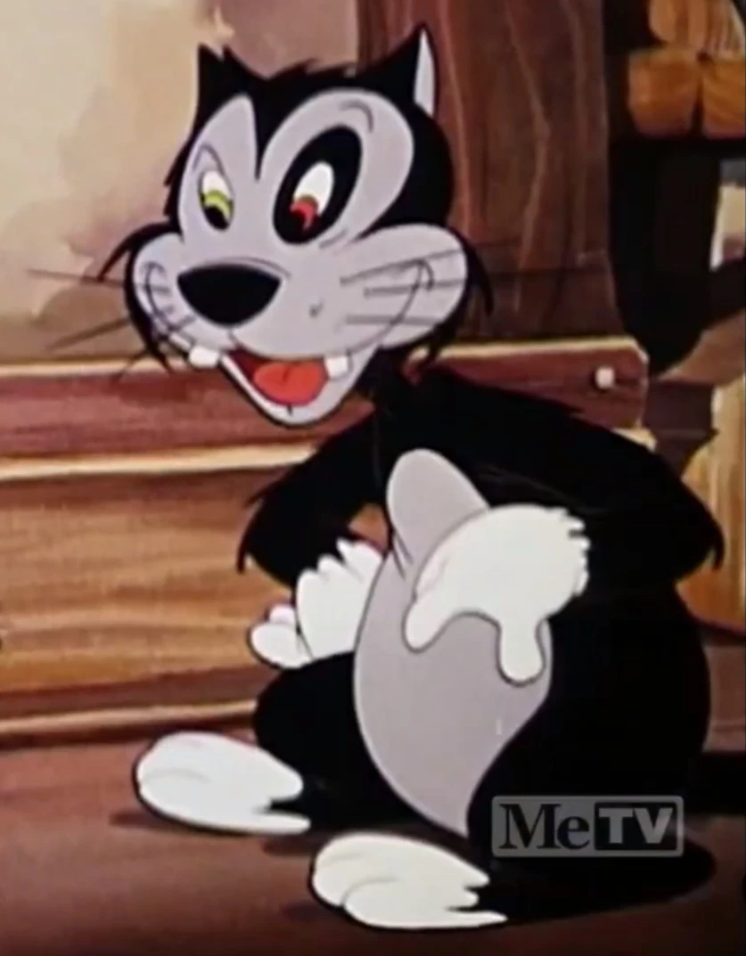 Tom Cat | Walter Lantz Wiki | Fandom