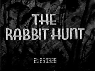 The Rabbit Hunt | Walter Lantz Wiki | Fandom