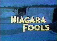 Niagara Fools | Walter Lantz Wiki | Fandom