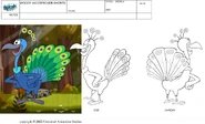 Peacock | Walter Lantz Wiki | Fandom