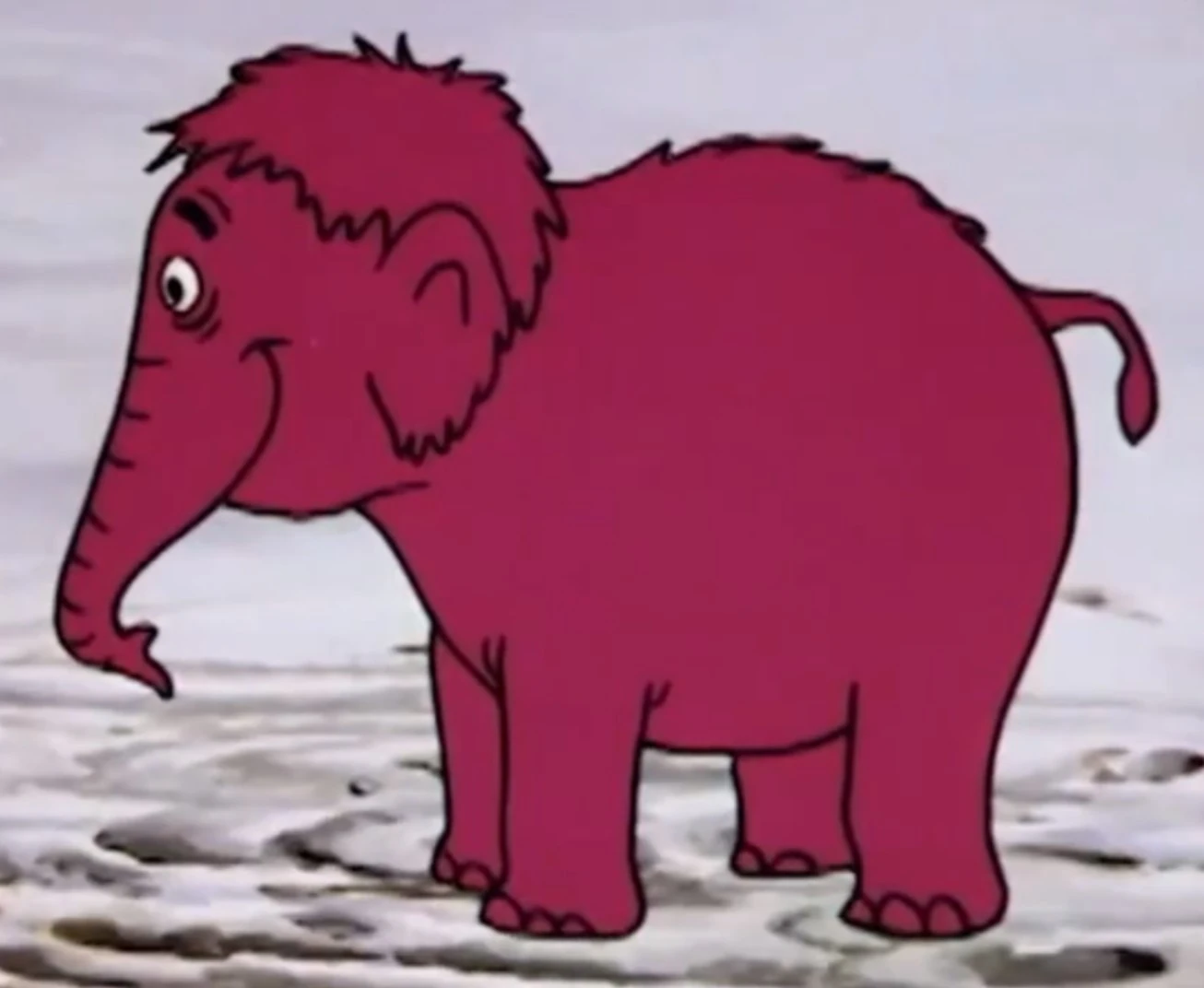 Woolly | Walter Lantz Wiki | Fandom