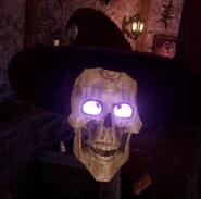 Skully | Waltz of the Wizard Wiki | Fandom