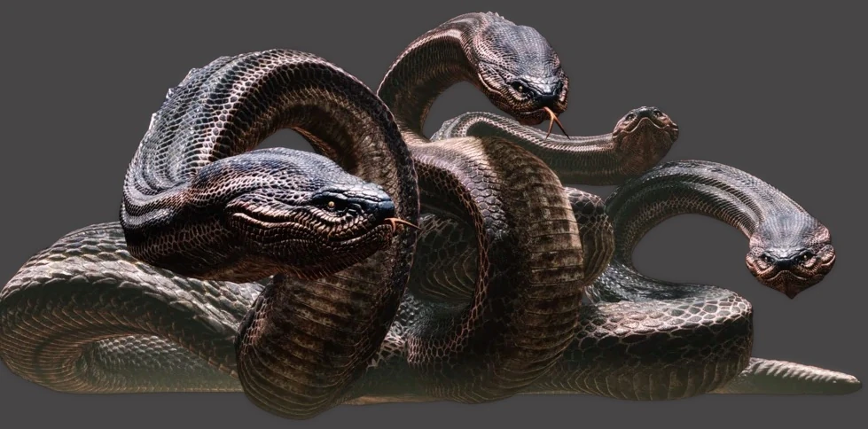 Hydra | Walytja Academy Wiki | Fandom