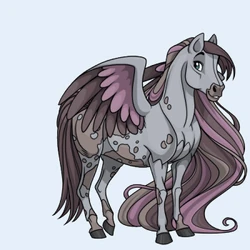 Mago | Wikia Wamme 2 | Fandom