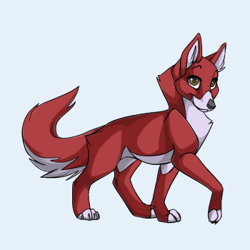 Aurora | Wikia Wamme | Fandom