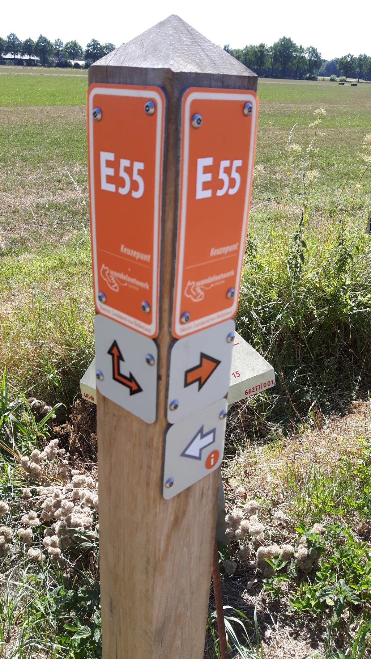 E55 (Dinkelland) | WandelroutesOverijssel wiki | Fandom