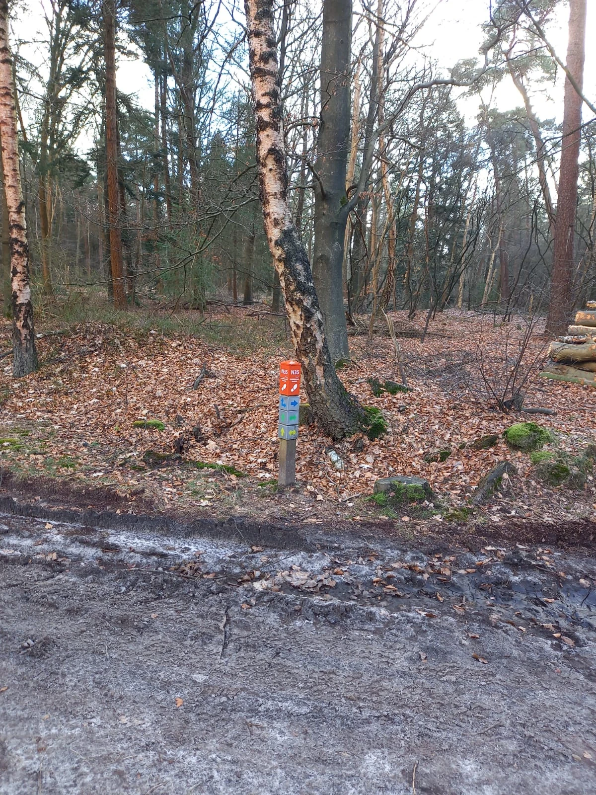 N35 (Ommen) | WandelroutesOverijssel wiki | Fandom