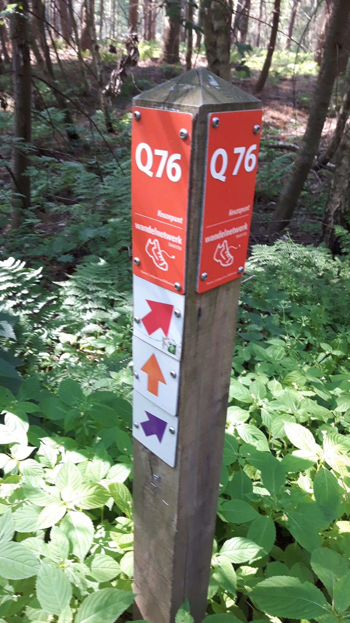 Q76 | WandelroutesOverijssel wiki | Fandom