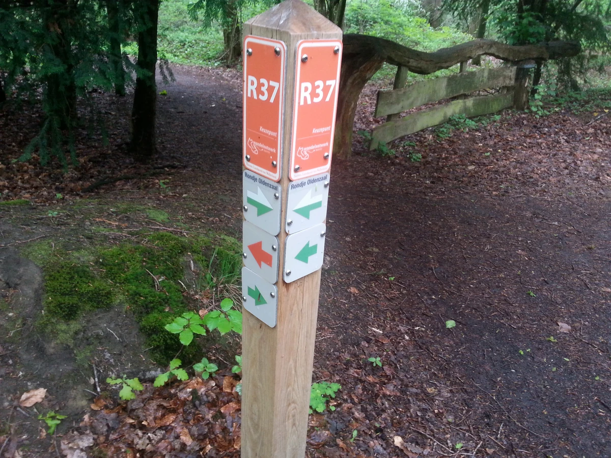 R37 | WandelroutesOverijssel wiki | Fandom