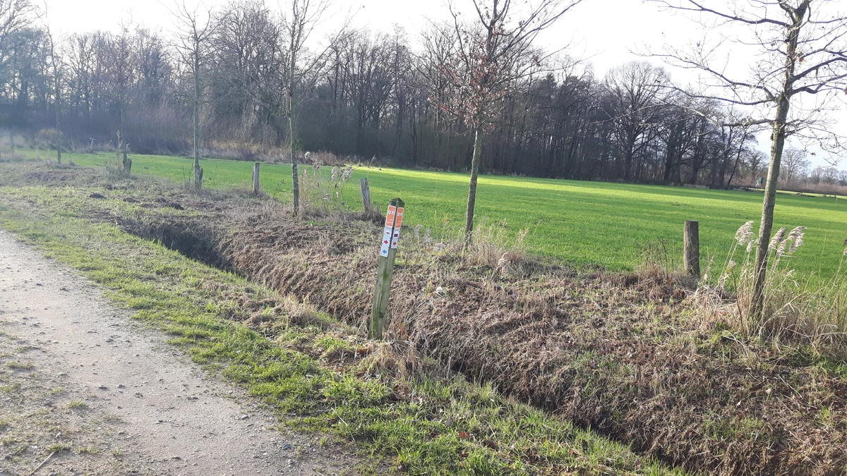 Q31 | WandelroutesOverijssel wiki | Fandom