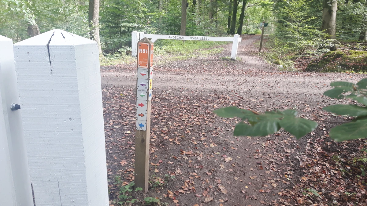 R81 | WandelroutesOverijssel wiki | Fandom