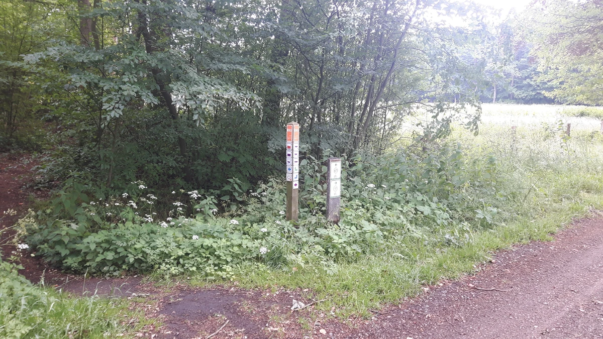 R93 | WandelroutesOverijssel wiki | Fandom