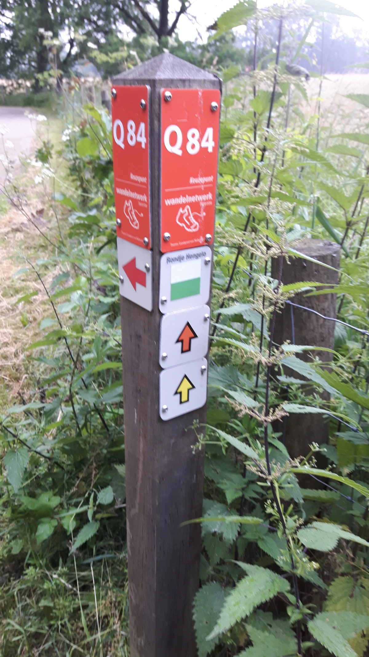 Q84 | WandelroutesOverijssel wiki | Fandom