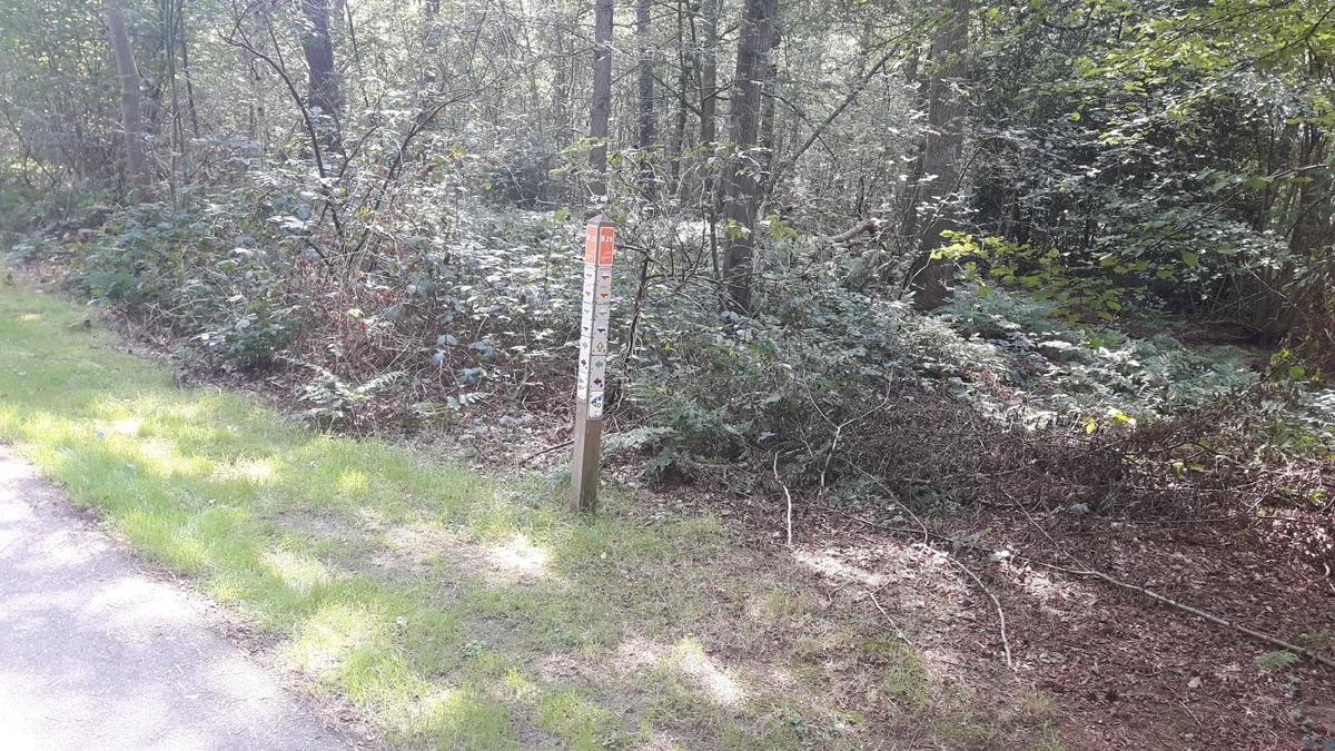 R28 | WandelroutesOverijssel wiki | Fandom