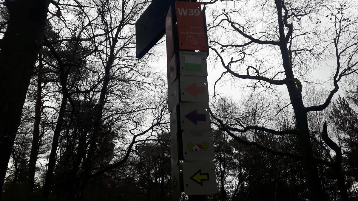 W39 | WandelroutesOverijssel wiki | Fandom