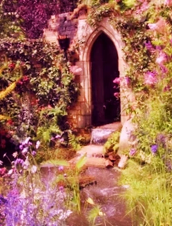 Fairycore Forest | Wandererrrr's Journey Wiki | Fandom