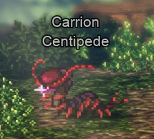 Bramble Shade Forest | Wandering Sword Wiki | Fandom