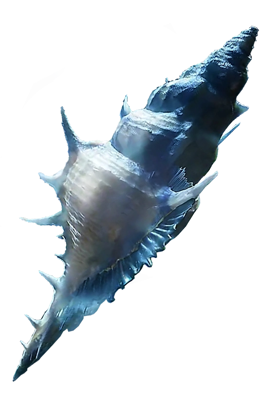 Heaven Marked Conch | Wanmei Shijie Wiki | Fandom