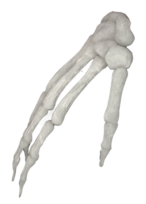 Immortal Hand Bones | Wanmei Shijie Wiki | Fandom