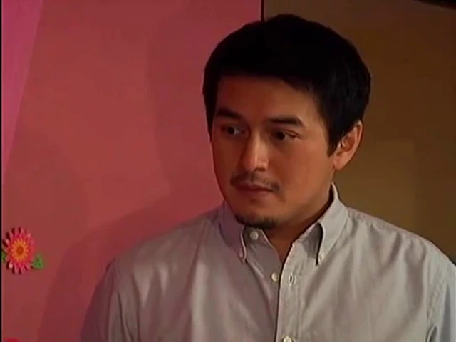 Dominic Ochoa | Wansapanataym Wiki | Fandom