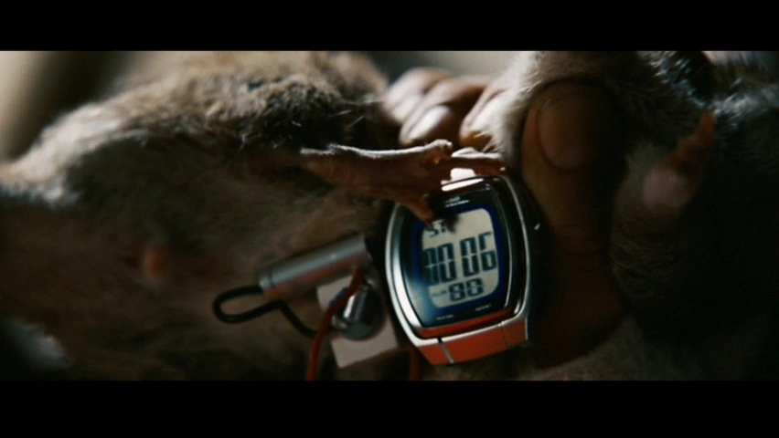 Explosive Rats | Wanted Wiki | Fandom