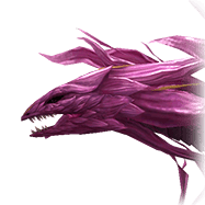 Aster | War Dragons Wikia | Fandom