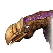 Dodo | War Dragons Wikia | Fandom