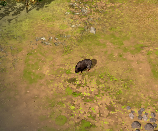 Boar | War Selection Wiki | Fandom