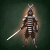 Samurai | War Selection Wiki | Fandom